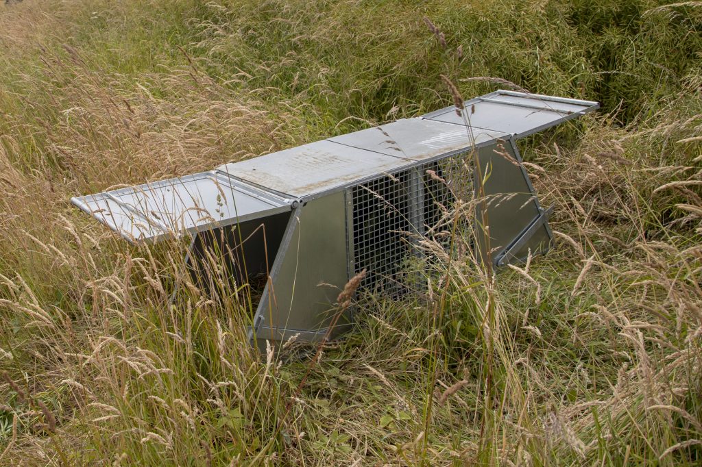 Get Advice - Beaver Management